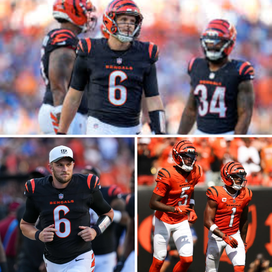 BREAKING : 5 winners and 3 losers from Bengals’ shocking AFC North move for Joe Flacco ...
