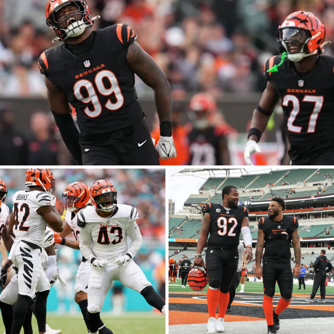 BREAKING : Bengals defense takes another step with strong performance ...