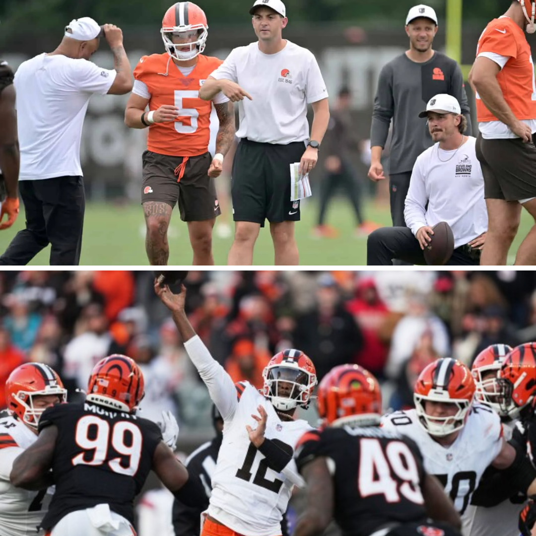 Browns Make Big Announcement About Tommy Rees - Breaking News